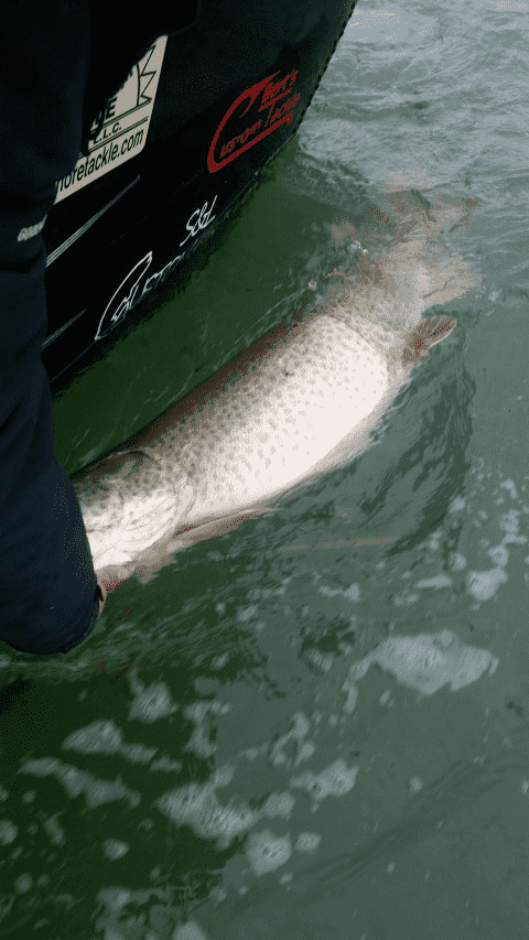 Soo Fishing Charters